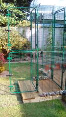 Recinto esterno per gatti - Catio: Portico | Omlet