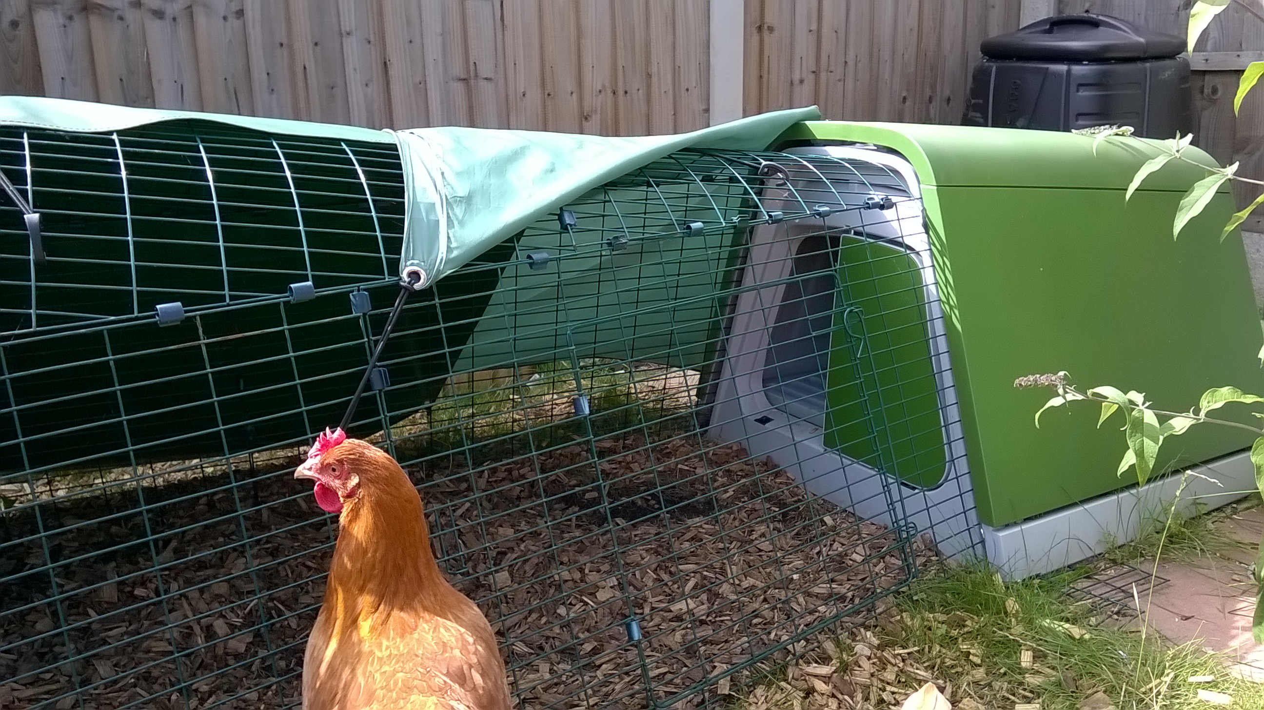 Eglu Go Pollaio | L'allevamento delle Galline: i prodotti | Omlet