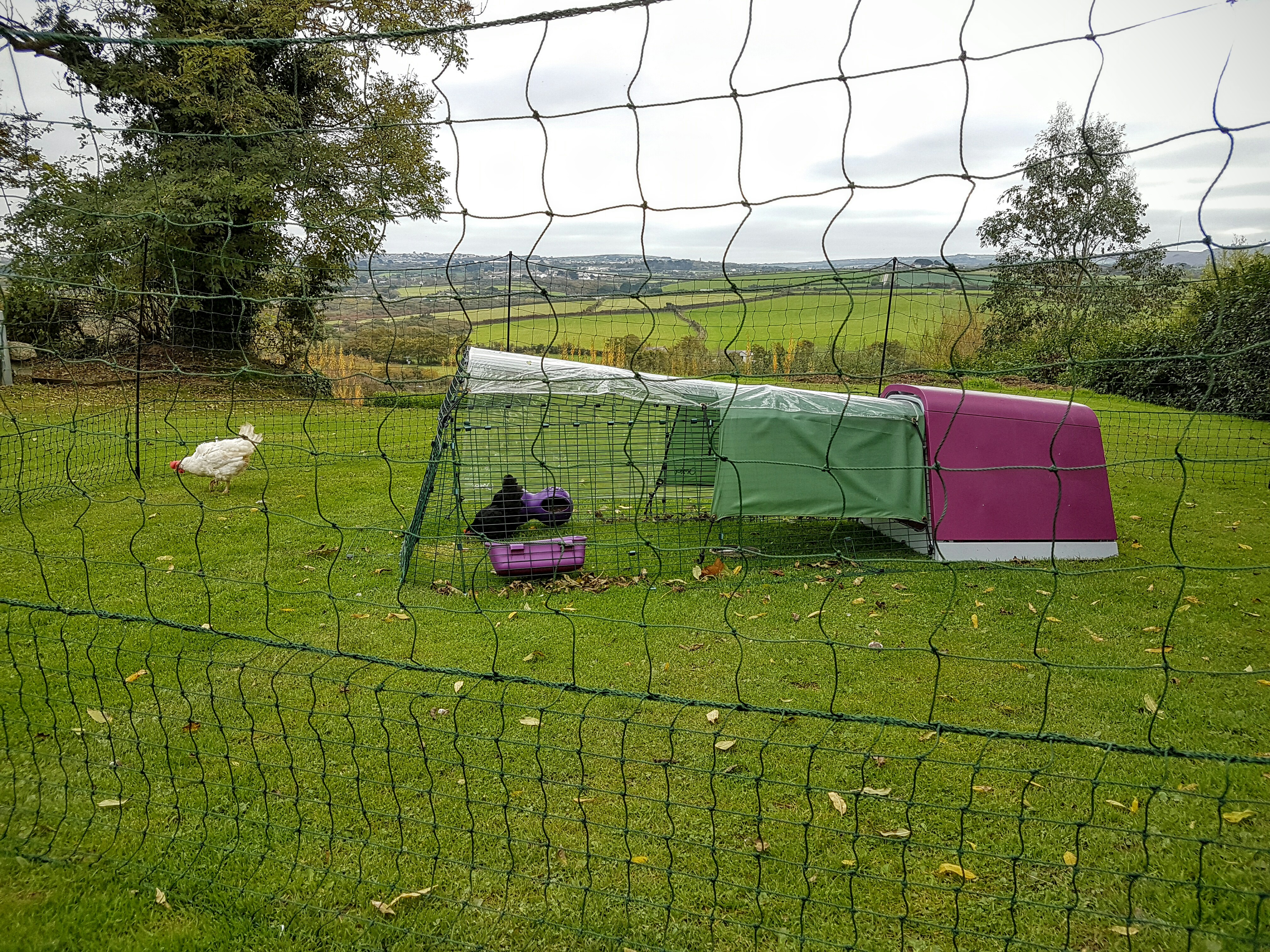 Eglu Go Pollaio | L'allevamento delle Galline: i prodotti | Omlet